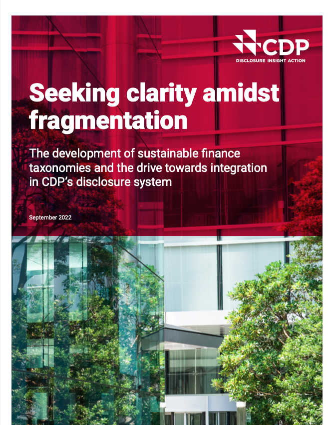 Seeking clarity amidst fragmentation - The development of sustainable ...