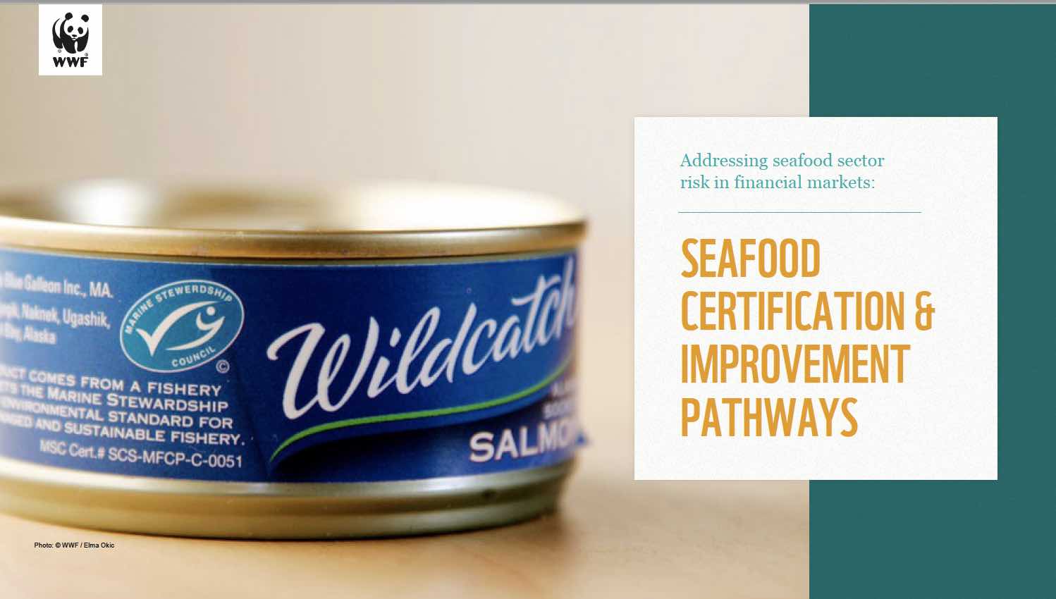 WWF Seafood - Certification & Improvement Pathways - Mini Deck - ASFI ...