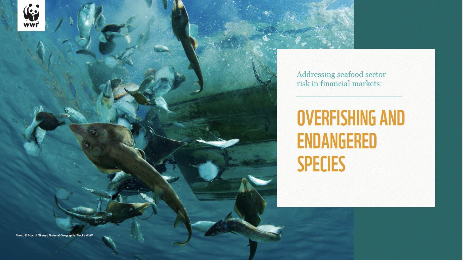 WWF Seafood - Overfishing & Endangered Species - Mini Deck - ASFI ...