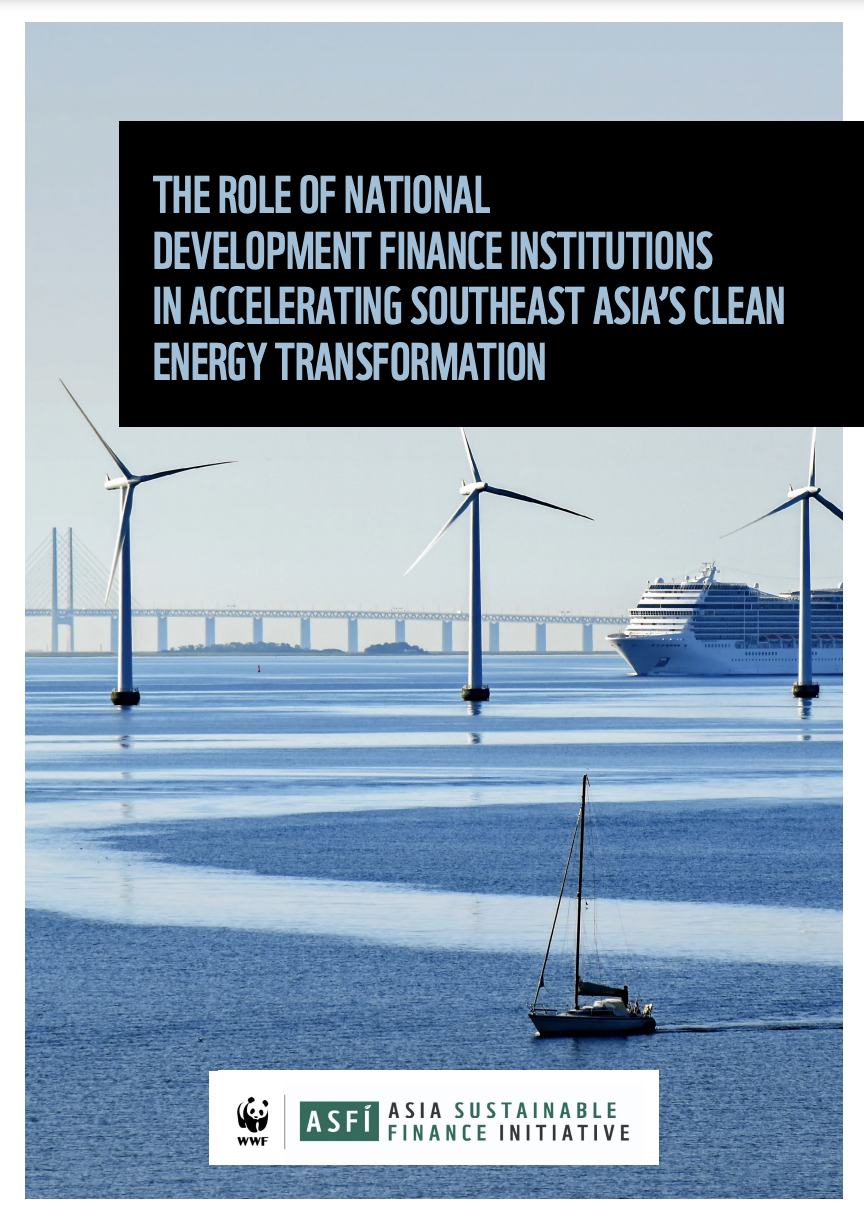 The Role of National Development Finance Institutions In Accelerating Southeast Asia's Clean ...